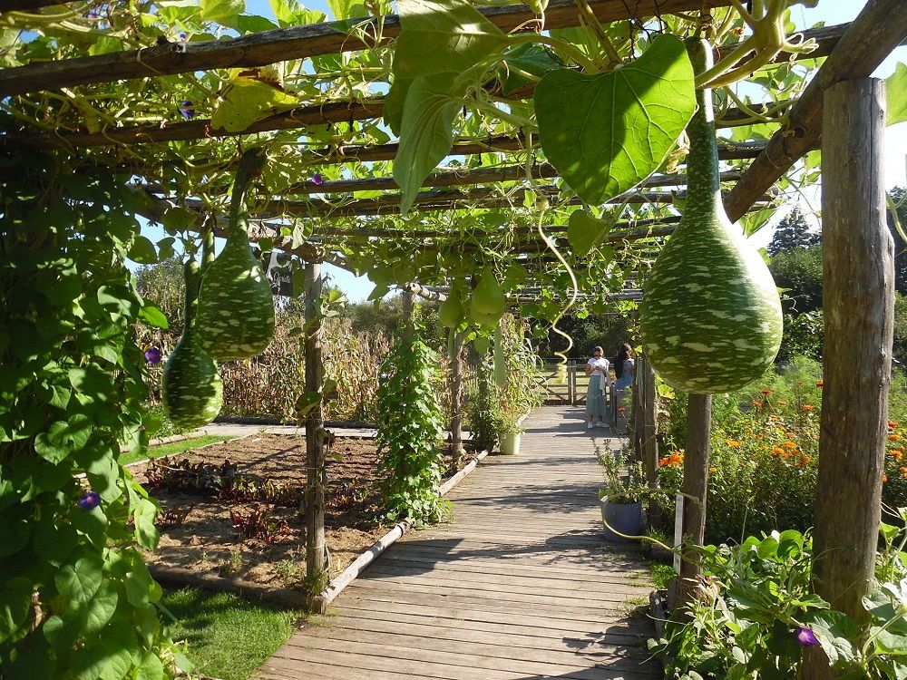 Le jardin potager - Arche de la nature (72)